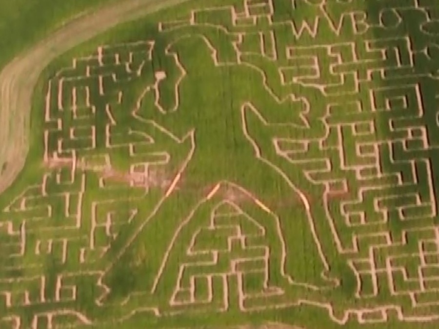 Wisconsin corn maze honors music legend with impressive design - NBC26 ...